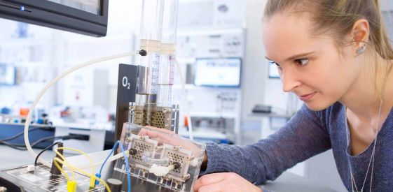 Lucas Nülle - Lernmanagement Software - LabSoft Classroom Manager